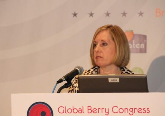Berry and Glatfelter Set Date for Spin-Off and Merger Completion